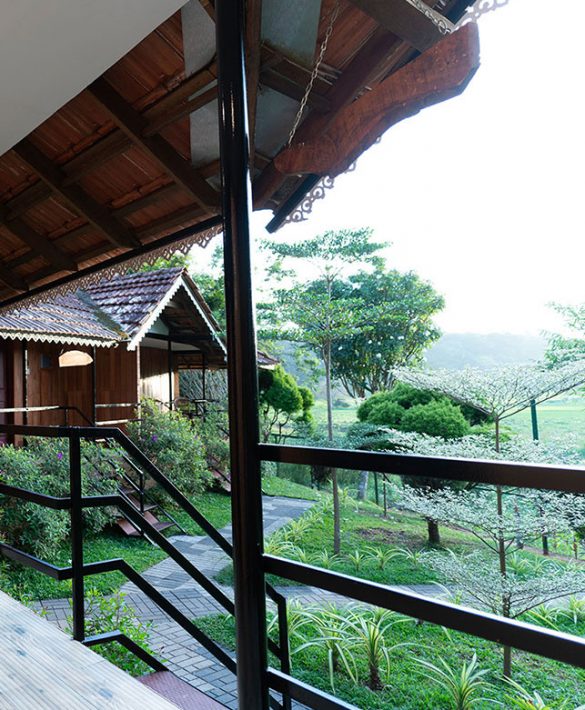 Mystery Maze Resort - Mystery Maze Resort